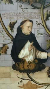 Rubies and Health - A Guide to the Power of Rubies | The Natural Ruby ...