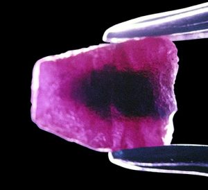 How Much is Raw Uncut Ruby Worth? Valuing an Uncut Ruby Gemstone | The ...