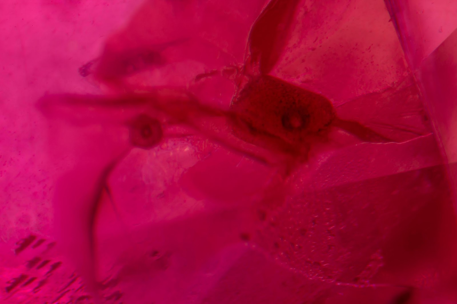 Typical Inclusions In Ruby Gemstones & Ruby Synthetics | The Natural ...