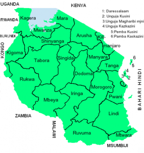 Rubies from Tanzania | The Natural Ruby Company