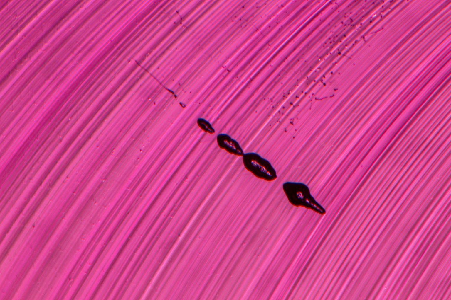 Advanced Testing for Rubies - The Natural Ruby Company | The Natural ...